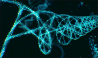 Biology GIFs - Get the best gif on GIFER