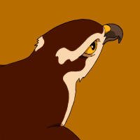 Dsl GIFs - Get the best gif on GIFER
