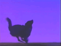 Sizzler GIFs - Get the best gif on GIFER