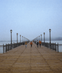 Pier GIFs - Get the best gif on GIFER