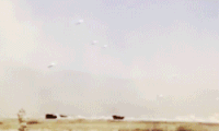 Prim everdeen GIFs - Get the best gif on GIFER