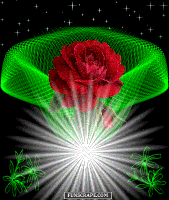 506 GIFs - Get the best gif on GIFER