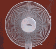 Fan GIFs - Get the best gif on GIFER