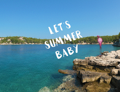 Wappity GIFs - Get the best gif on GIFER