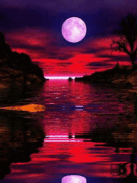 Scenery GIFs - Get the best gif on GIFER