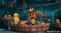 Gru GIFs - Get the best gif on GIFER