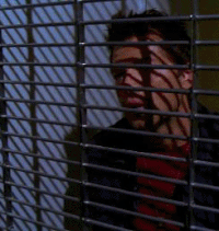 Forbidden GIFs - Get the best gif on GIFER