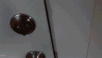 Pam grier GIF - Conseguir o melhor gif em GIFER