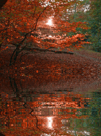 Total internal reflection GIFs - Get the best gif on GIFER