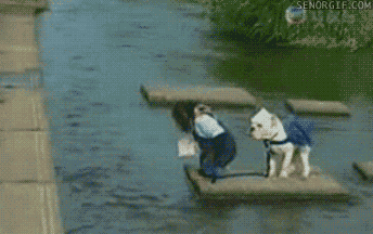 Folly GIF - Conseguir o melhor gif em GIFER