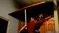Cupboard GIFs - Get the best gif on GIFER