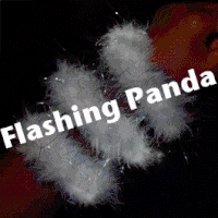 Feder GIFs - Get the best gif on GIFER