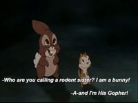 Gophers GIFs - Get the best gif on GIFER