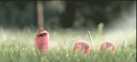 Worms GIFs - Get the best gif on GIFER