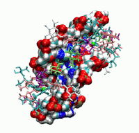 Computing GIFs - Get the best gif on GIFER