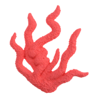 Coral GIFs - Get the best gif on GIFER