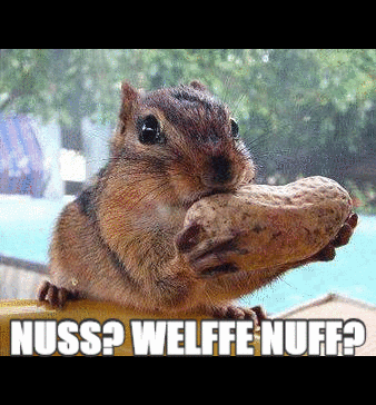 Nuss GIFs - Get the best gif on GIFER
