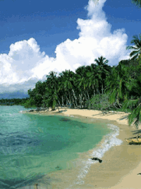 Maui GIFs - Get the best gif on GIFER