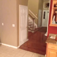 Discretion GIFs - Get the best gif on GIFER