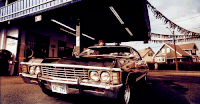 Impala GIFs - Get the best gif on GIFER