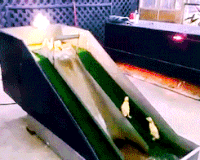 Ducklings GIFs - Get the best gif on GIFER