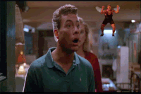 Jcvd GIFs - Get the best gif on GIFER
