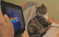 Ipad гифки, анимированные GIF изображения ipad - скачать гиф картинки ...