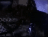 Cardigans GIFs - Get the best gif on GIFER