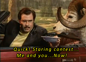 Goulet GIF - Conseguir o melhor gif em GIFER