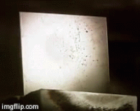 Lens GIFs - Get the best gif on GIFER