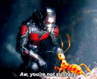 Antman GIFs - Get the best gif on GIFER