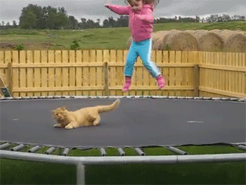 Trampolin GIFs - Get the best gif on GIFER