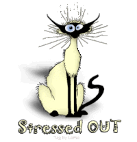 Stressed GIFs - Get the best gif on GIFER