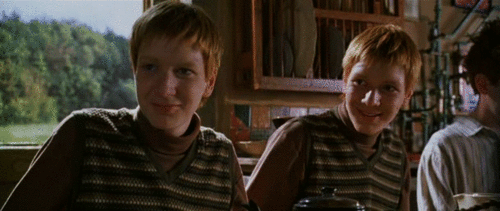 Weasleys GIFs - Get the best gif on GIFER