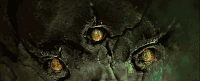 Oryx GIFs - Get the best gif on GIFER