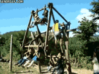 Homemade GIFs - Get the best gif on GIFER