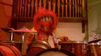 Muppets GIFs - Get the best gif on GIFER