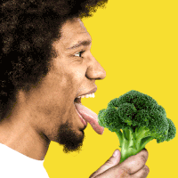 Shamwow Animated Gif