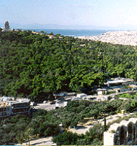 Athens GIFs - Get the best gif on GIFER