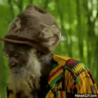 Rasta GIFs - Get the best gif on GIFER