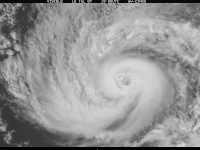Hurricane GIFs - Get the best gif on GIFER