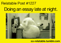 Homework GIFs - Get the best gif on GIFER