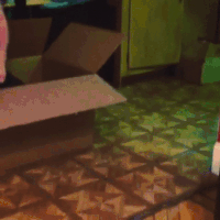 Reversing GIFs - Get the best gif on GIFER