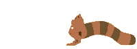 Crawl GIFs - Get the best gif on GIFER