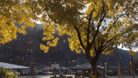 Utah GIFs - Get the best gif on GIFER
