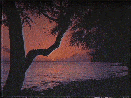 Aesthetics GIFs - Get the best gif on GIFER