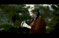 Birdwatching GIFs - Get the best gif on GIFER