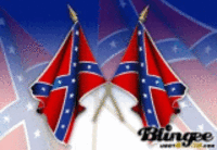Rebel GIFs - Get the best gif on GIFER