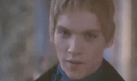 Courtship GIFs - Get the best gif on GIFER