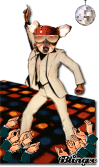 Pirates GIFs - Get the best gif on GIFER